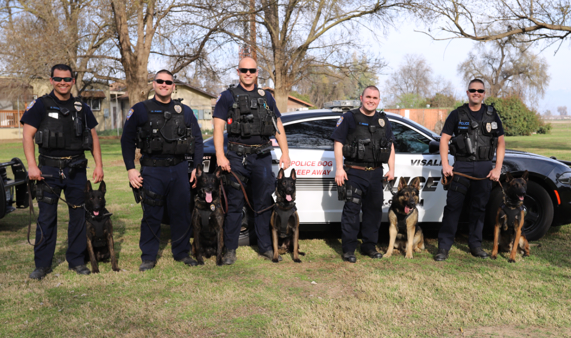 City of Visalia - K9 Unit